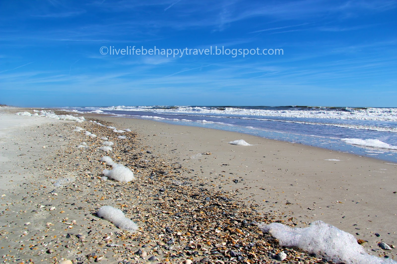 Life and Coconuts: Discovering Florida's Hidden Treasures: The Best ...