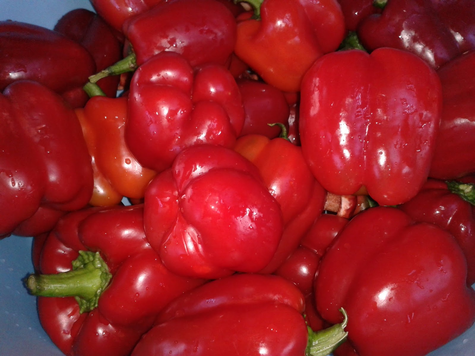 Incursiuni prin gastronomie: Ardei California sau gogoșari în oțet ...