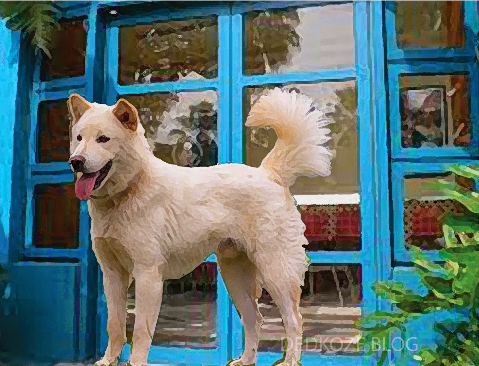 INDONESIA, WONDER BY WONDER!: A FRIENDLY DOG FROM BALI