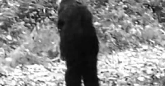 Phantoms and Monsters - Real Cryptid Encounter Reports - Fortean ...