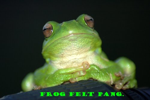 Knocking From Inside: Frogs With Fangs