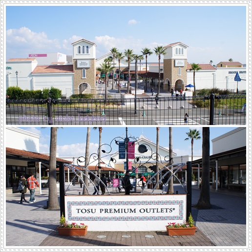 ดอกไวโอเล็ตกับเจ้าเต่าทอง