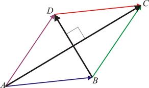 Rombo Ejercicios ~ CLASES DE MATEMÁTICAS