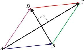 Rombo Ejercicios ~ CLASES DE MATEMÁTICAS