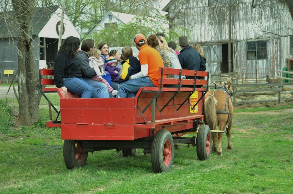 FRESH McKENZIE: Birthday Parties