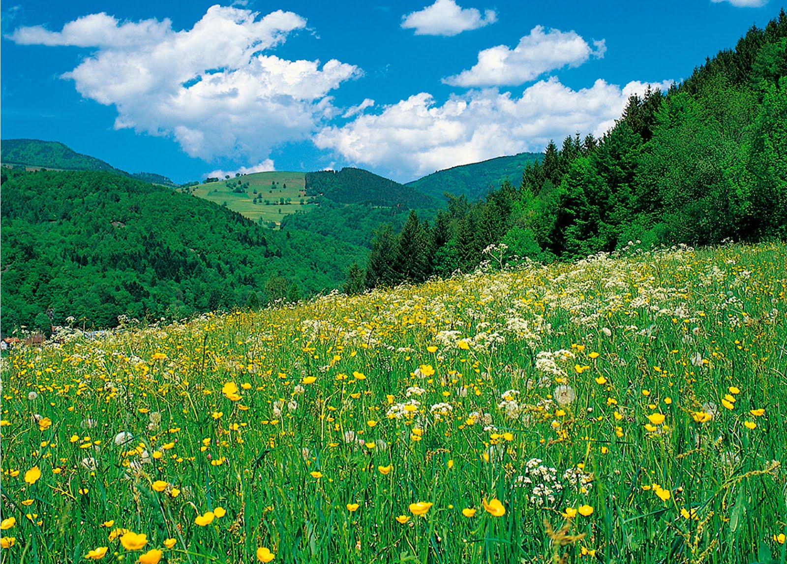 Geografía de México y del mundo : La Pradera
