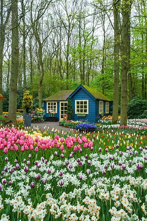 Life Language and Miracle: The mark of a true professional is giving ...