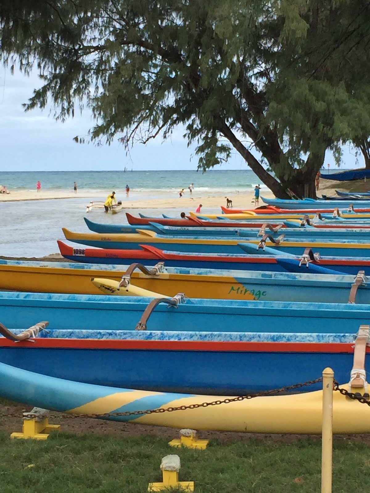 Zoomie Station: One Paddle, Two Paddle, Three Paddle, for to take me ...
