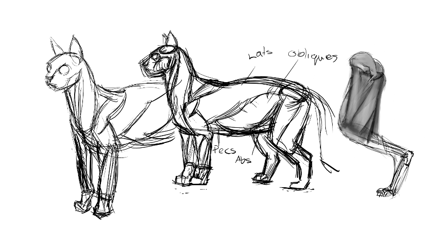 The Royal Analostan: The feline side of character design