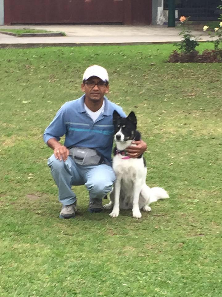 ADIESTRAMIENTO CANINO LIMA | ADIESTRADOR CANINO EN LIMA
