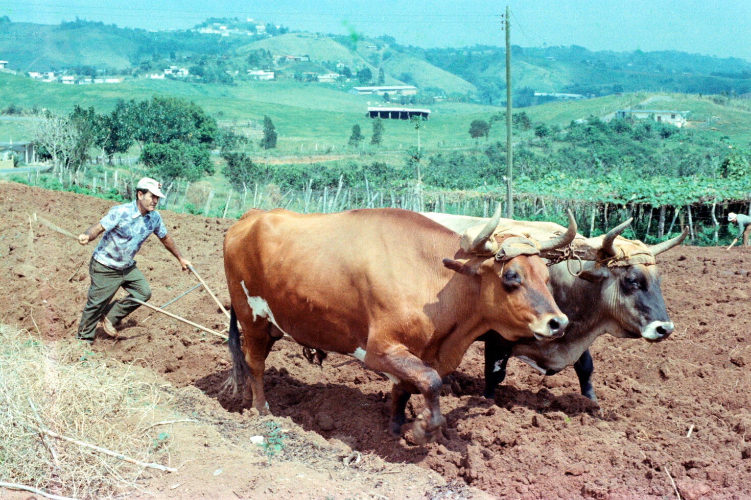 ARADO | Maquinaria Agrícola