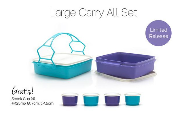 Large Carry All Set - TUPPERWARE INDONESIA Promo November 2016