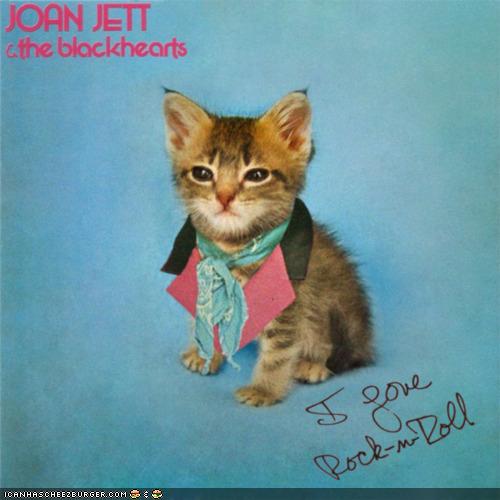 Kucing-kucing Lucu menjadi Cover Album Rock Classic - ROCKSOUNDCORE