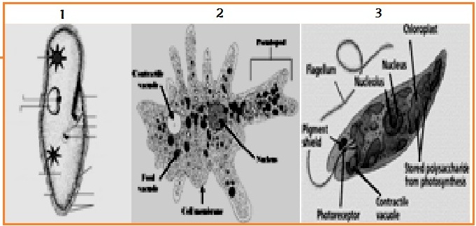 PENDADARAN UN 01 | Beriman,Berilmu,Berakal