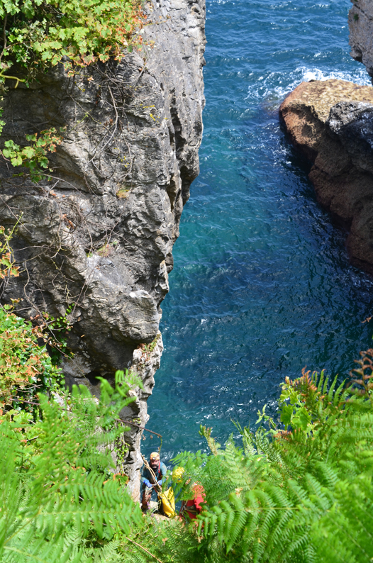 Asteroko kronikie: Zeletako Zulua