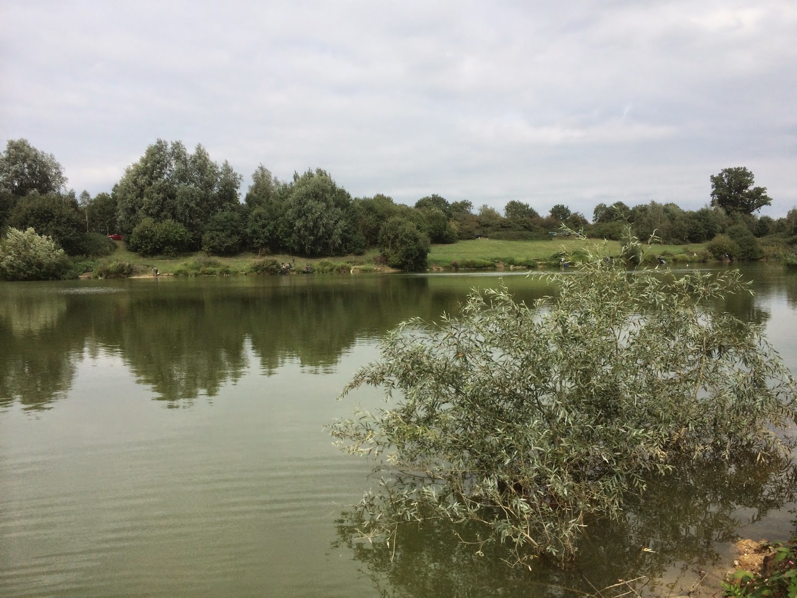 FishStrain: Willows Farm 27-8-14