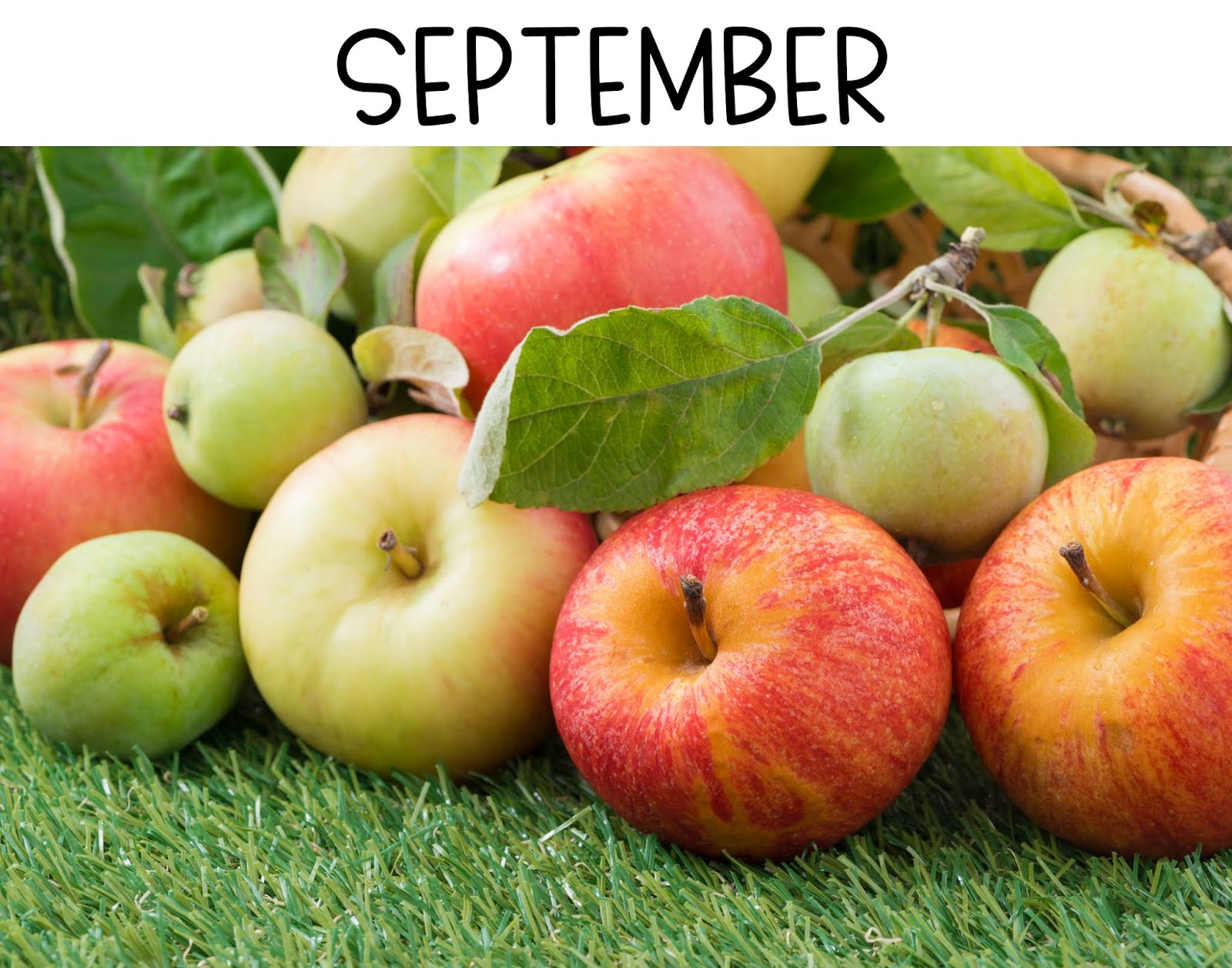 Apples and Fall | First Grade Buddies