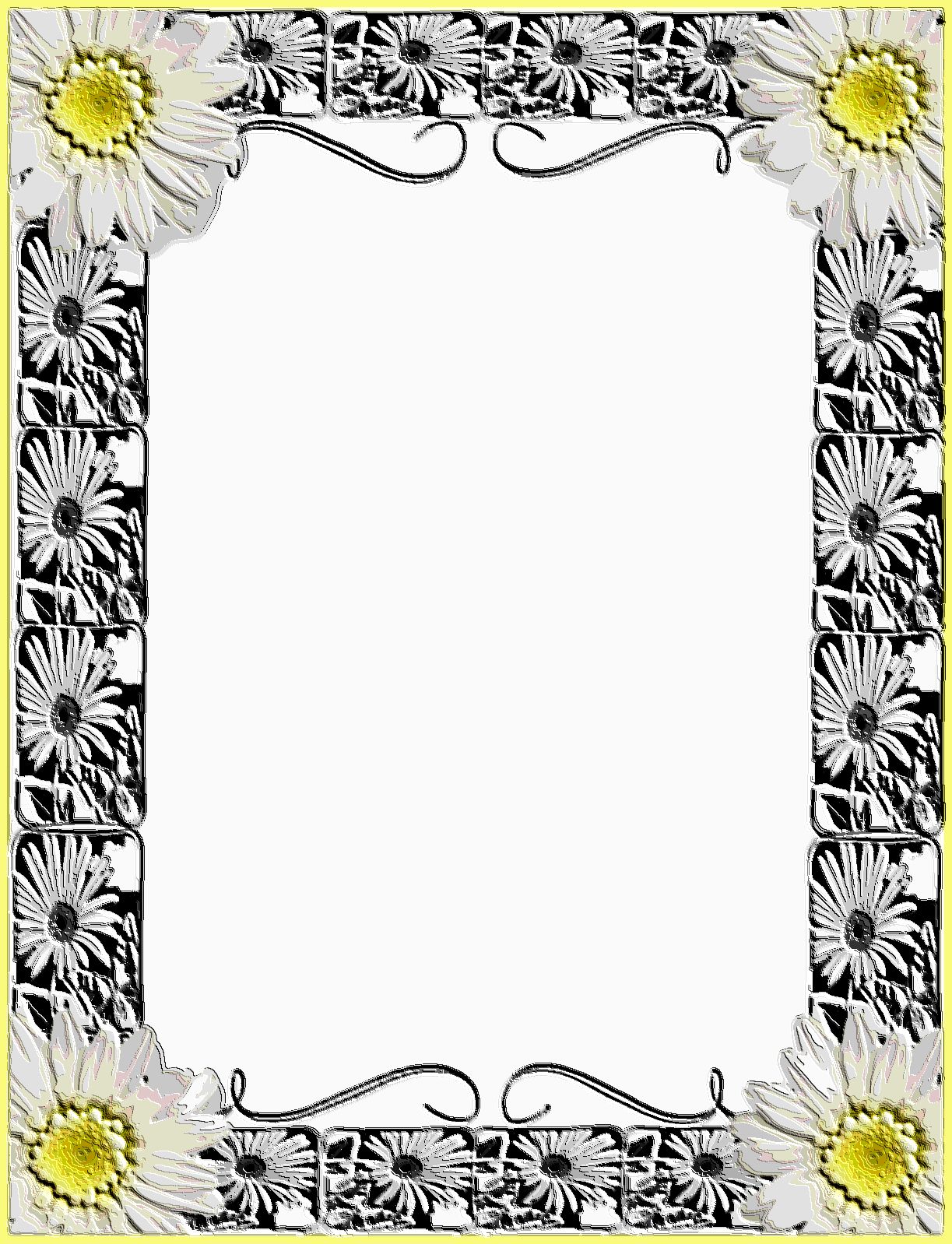 30 Beautiful Daisy Borders