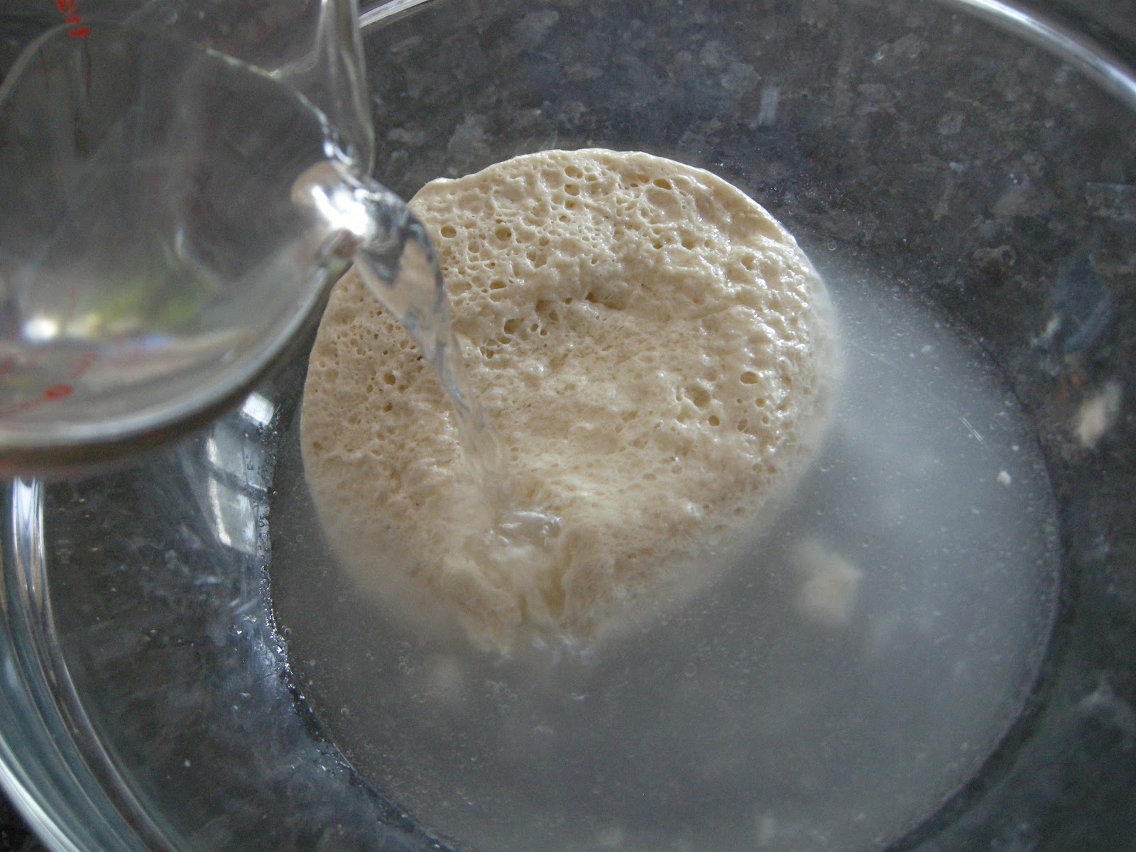 Kitchens Are Monkey Business: Rosie Makes Filone. It's Bread.