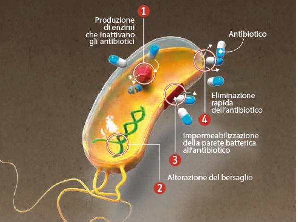 Bushcraft e medicina: Resistenza agli antibiotici. L'era post antibiotica.