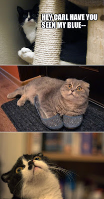 Funny Pics: Hey Carl