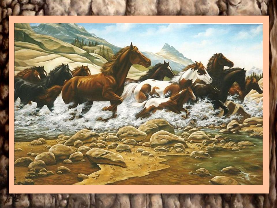 Soloillustratori: Michael Schutte