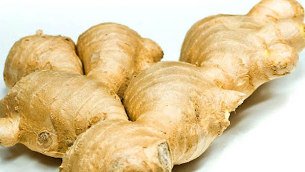 Klasifikasi Tanaman Jahe (Tugas Ilmu Alamiah Dasar): Klasifikasi ...