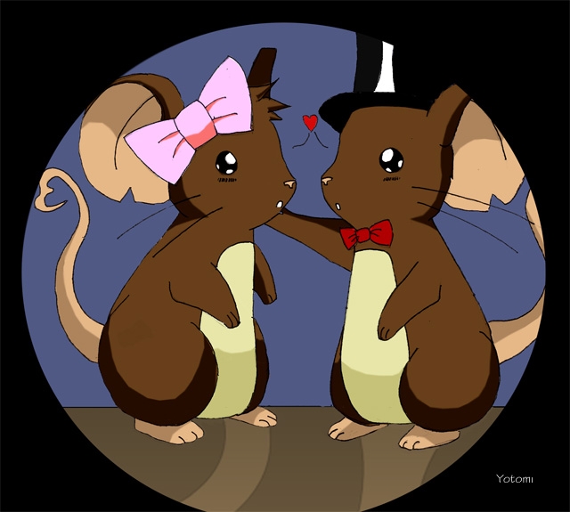 Transformice-City: -Zdjęcia.