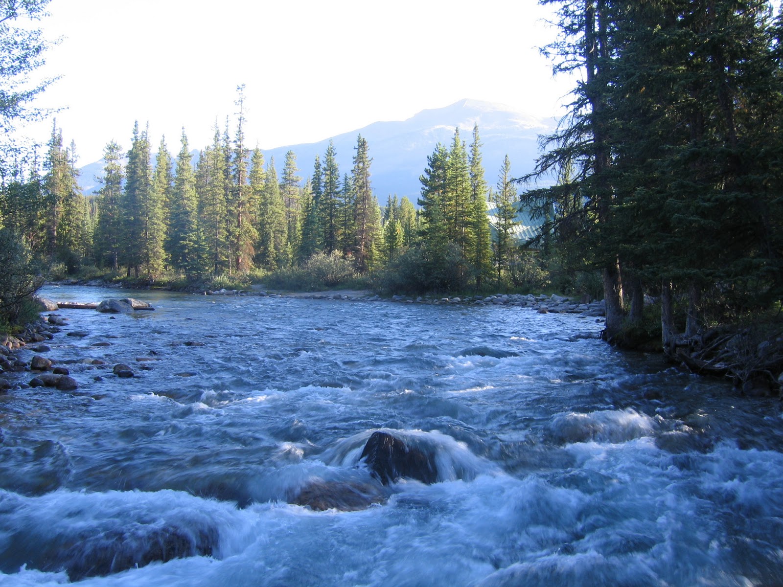 Wanderlust: Banff National Park: Bow River Loop Trail