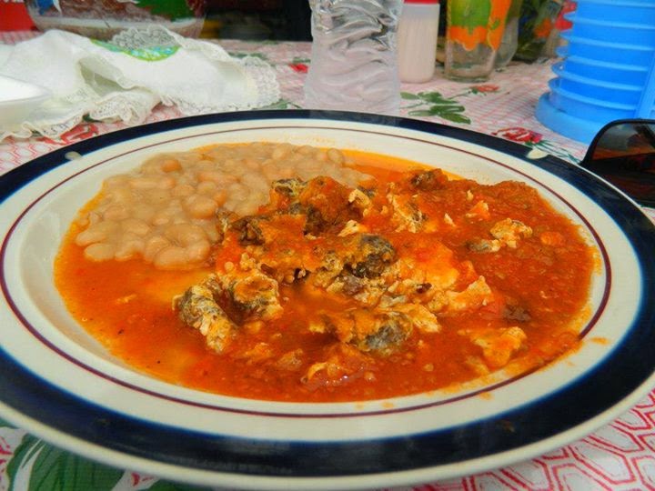 Orgullo Calentano - Región de Tierra Caliente: marzo 2015