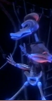 Erin's Blog: Donald Duck Skeleton