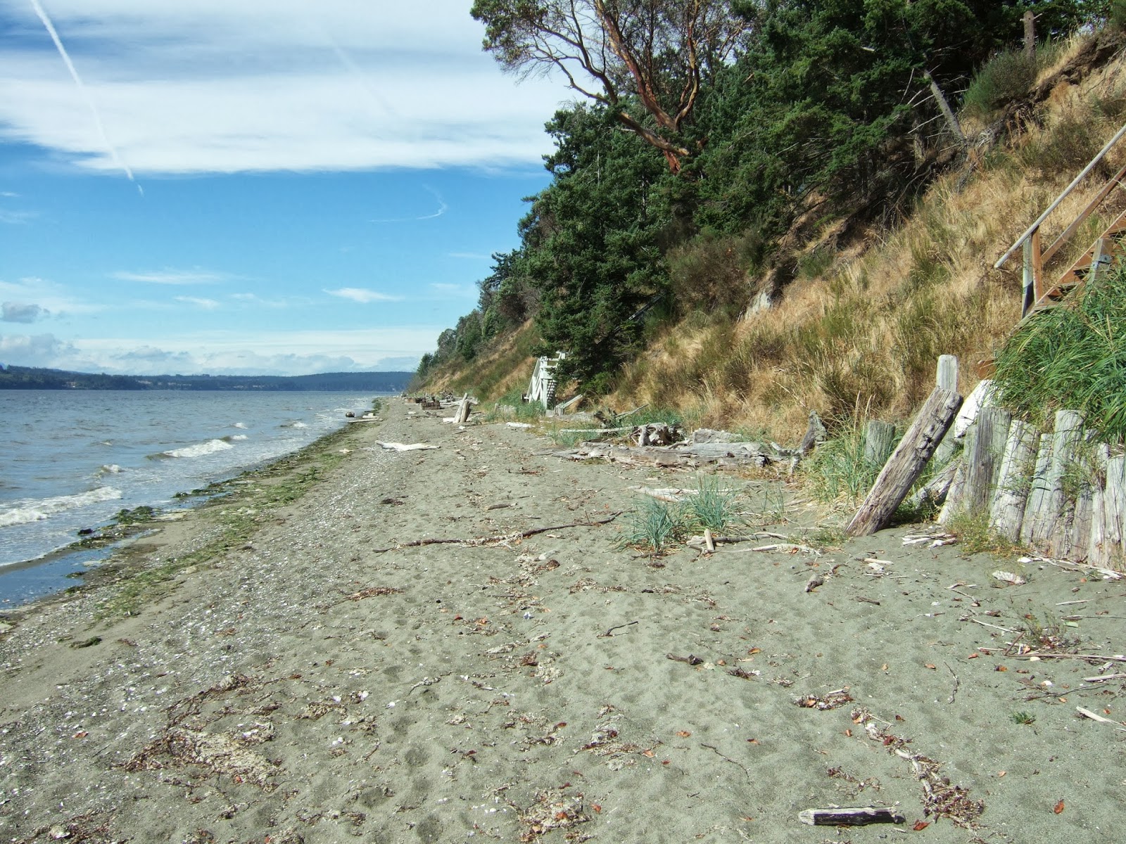 Reading the Washington Landscape: Northern Alligator Lizard Habitat at ...