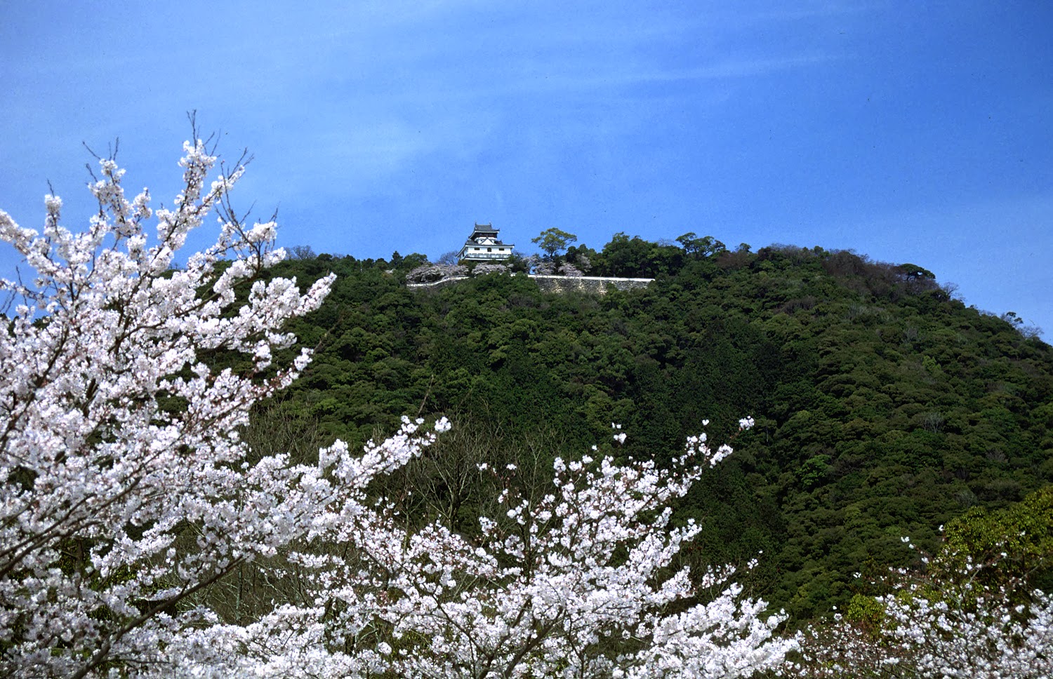 Sister Breksa ブレクサ姉妹: Japan: Two cool places in Iwakuni. Sister Breksa ...