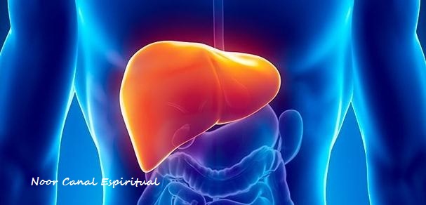 Noor Canal Espiritual : SABES SI TU HIGADO ESTÁ INFLAMADO??