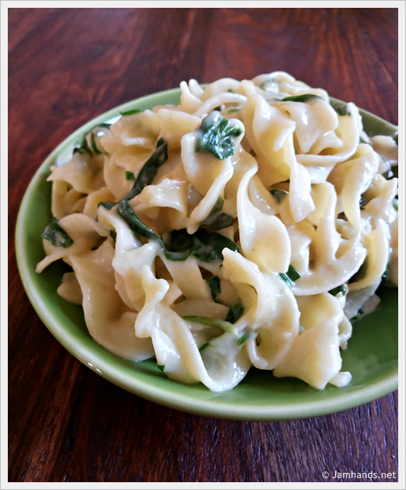 Creamy Spinach Parmesan Noodles - Jam Hands