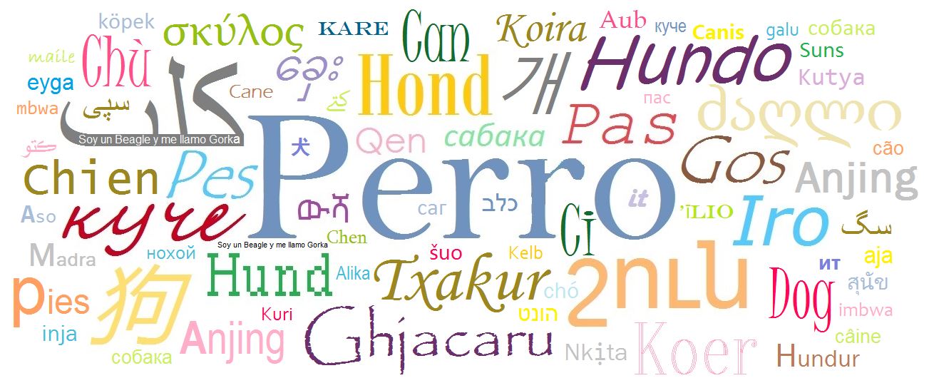 Blog Soy un Beagle y me llamo Gorka: LA PALABRA "PERRO"