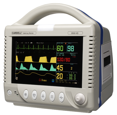 Nadcisnienie krwi przyczyną odwarstwienia siatkówki u kota ~ Okulistyka ...