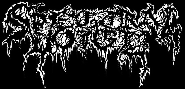 CULT TO OUR DARKEST PAST: INTERVIEW with SPECTRAL VOICE