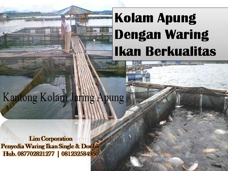 Buat kolam Apung dengan Memanfaatkan Waring Berkualitas - Jual Waring ...