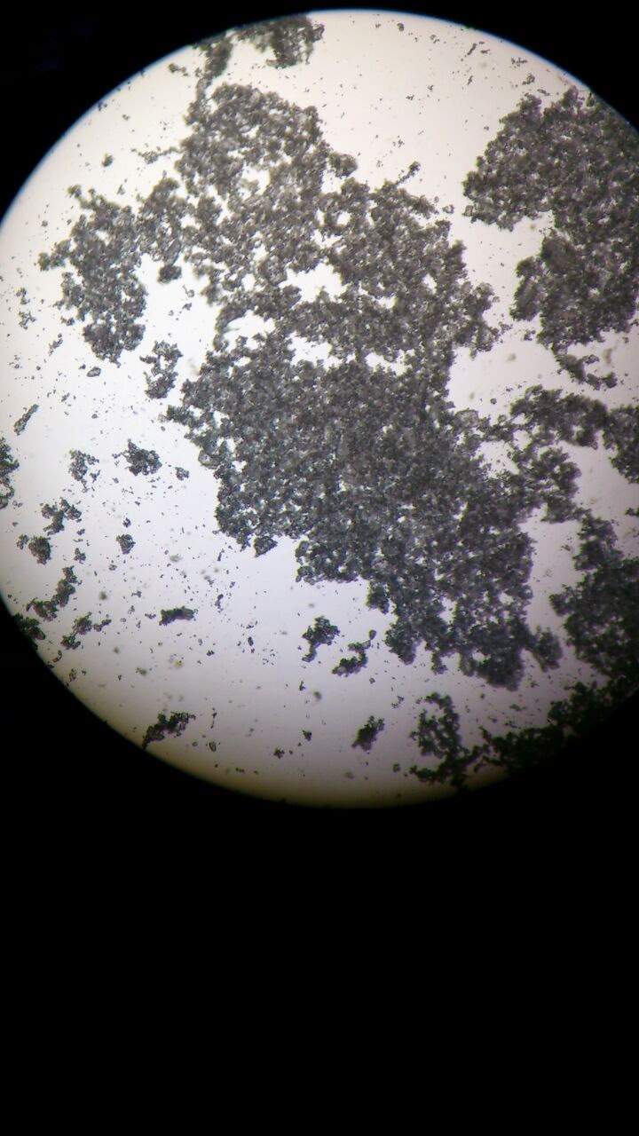 Free Lab Report UKM 2014: Particle Size and Shape Analysis Using Microscope