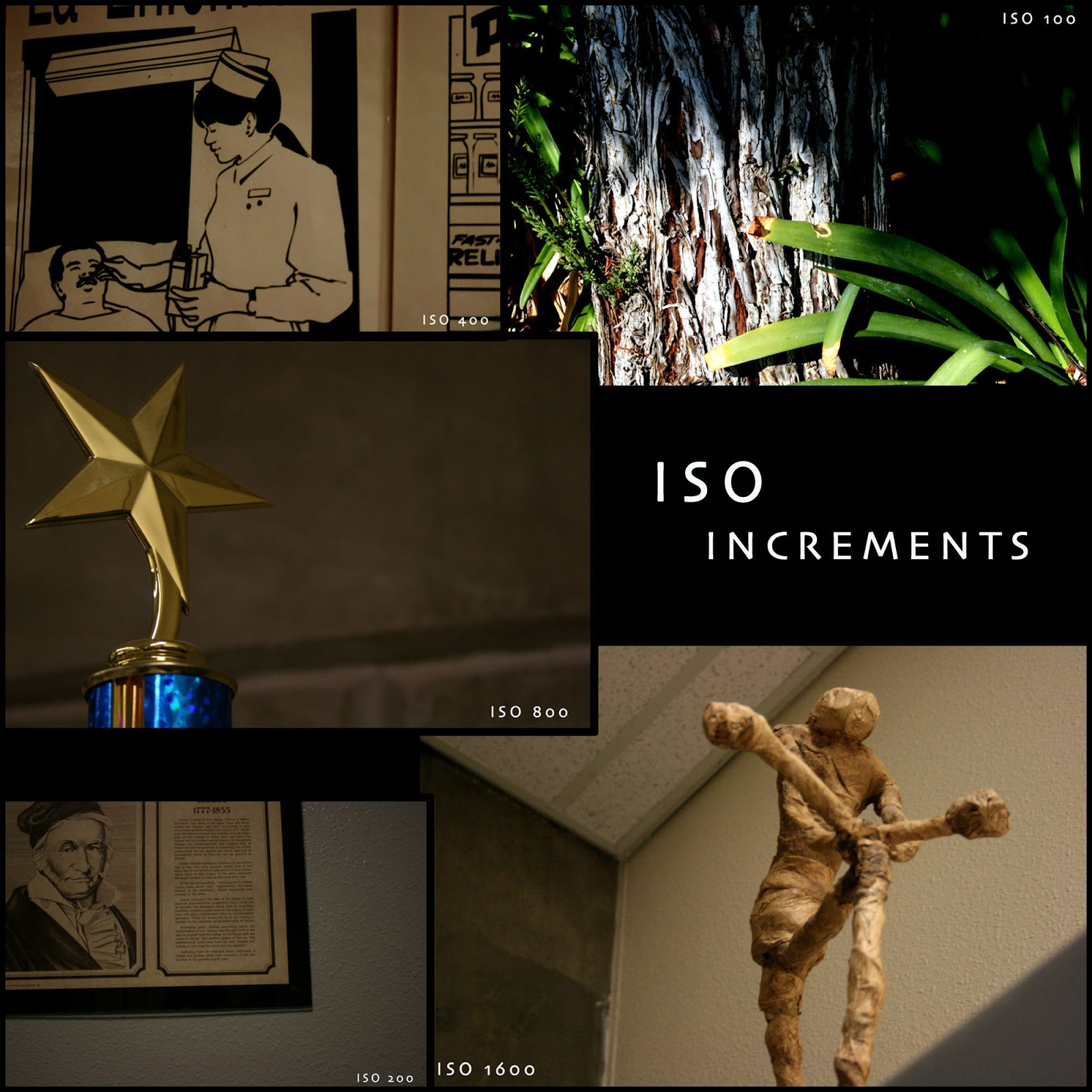 rop dig photography: ISO increments