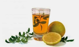 MEDICINA NATURAL PARAGUAY: Ruda (Ruta graveolens)