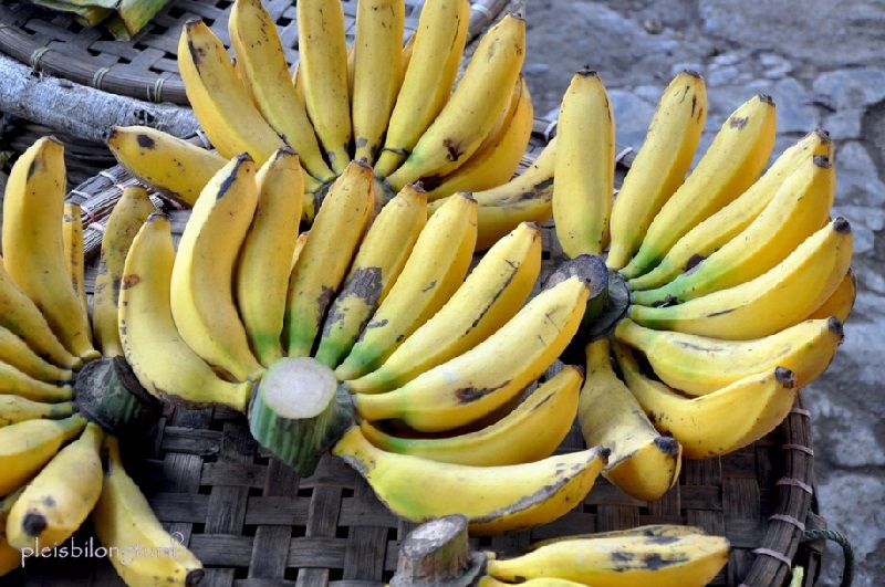 Yuk Kenali Jenis Jenis Pisang Raja Yang Ada Di Tanah Air Ini - Jenis ...