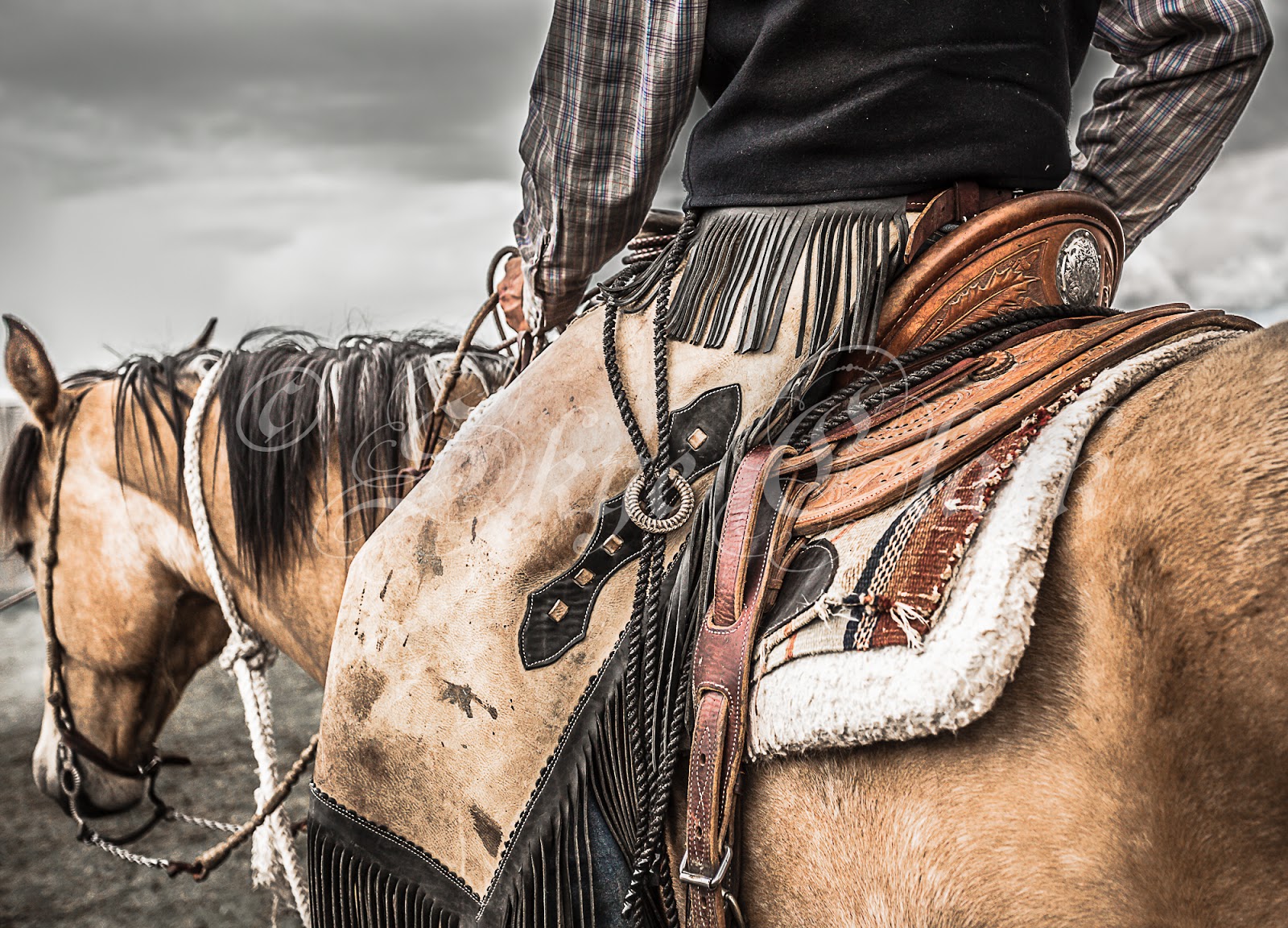 Cowgirl Mama: Skye Clarke Photography, #WesternArtWednesday