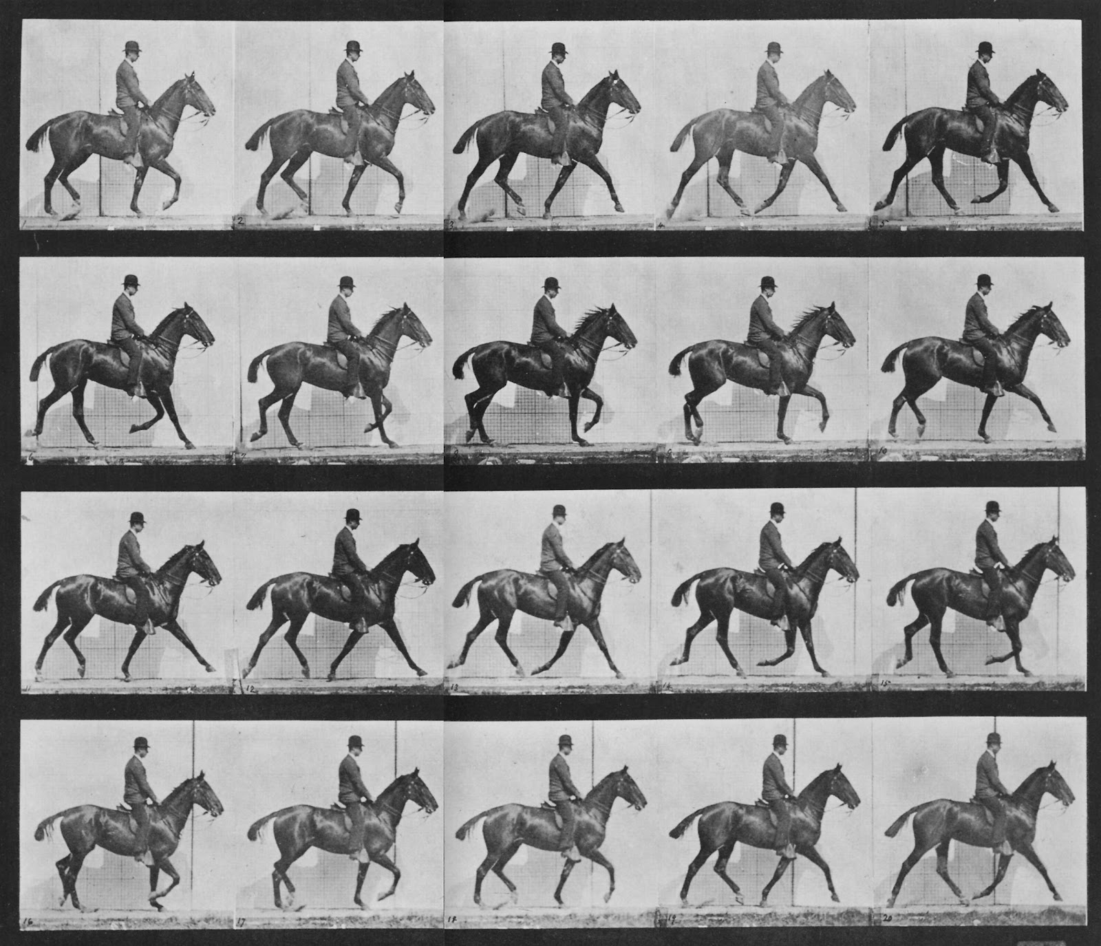 ART NOWA: Eadweard J. Muybridge stop motions
