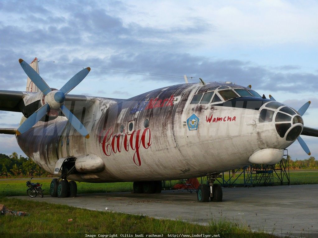 AIRPLANE SCALE MODELKIT: ANTONOV An-12 Cub