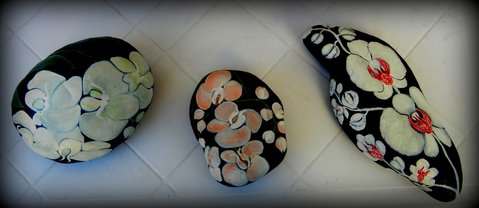 L' albero dei sassi: Esperimento orchidee