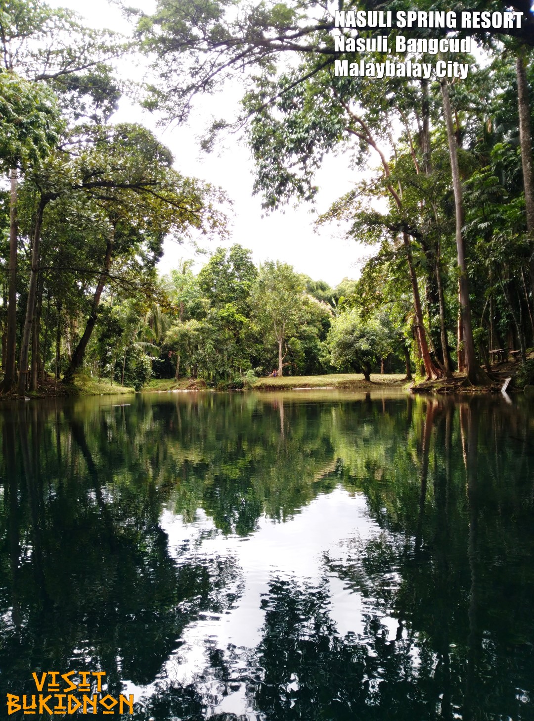 BUKIDNON UNLIMITED: NASULI SPRING RESORT