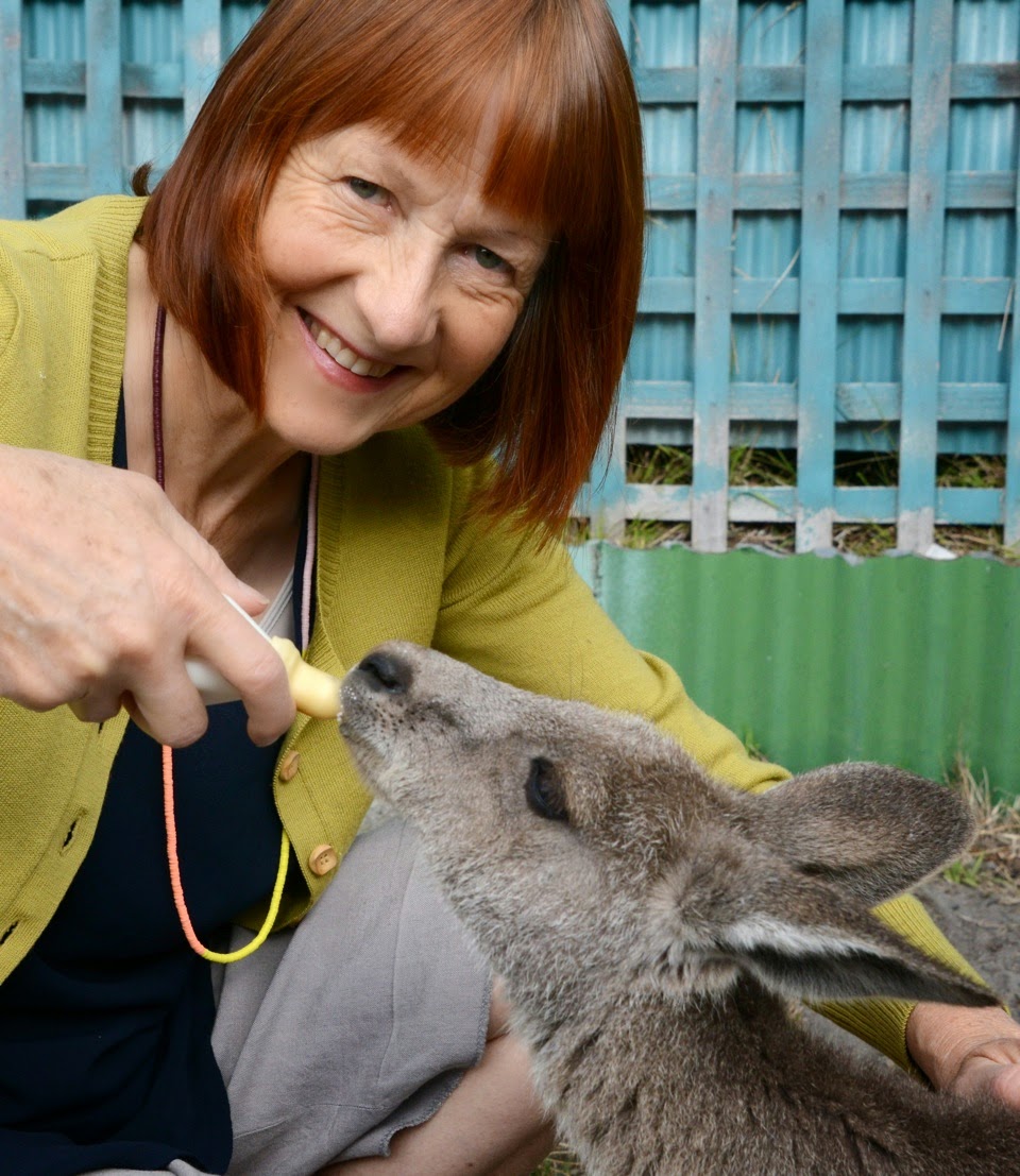 Kids' Book Review: 12 Curly Questions with author and illustrator ...