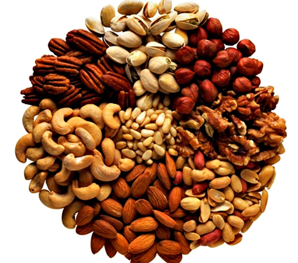 Blog do Edu Ambiental: Semente